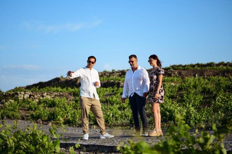 Imerovigli: Premium Wine Tasting with Caldera and Sea Views - Who Is This Tour Best For?