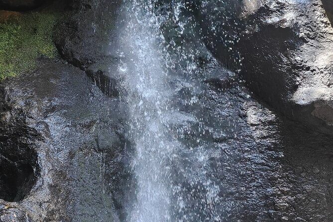 Immerse in the Nature: Deep Connection through Forest Bathing - Who Should Consider This Tour?