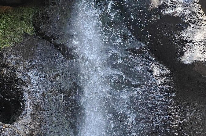 Immerse in the Nature: Deep Connection through Forest Bathing - FAQ