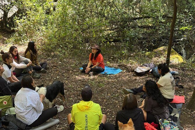 Immerse in the Nature: Deep Connection through Forest Bathing - Final Thoughts