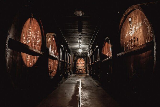 Immersive Christmas cellar visit and Alsace wine tasting - Who Will Love This Tour?