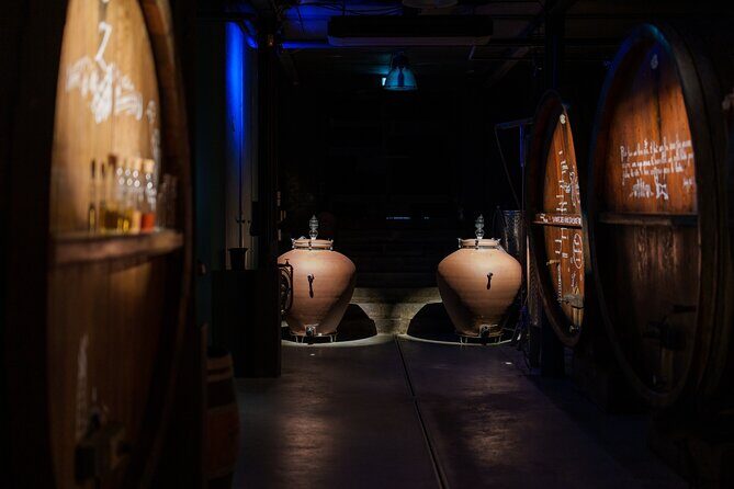 Immersive Christmas cellar visit and Alsace wine tasting - Practical Considerations