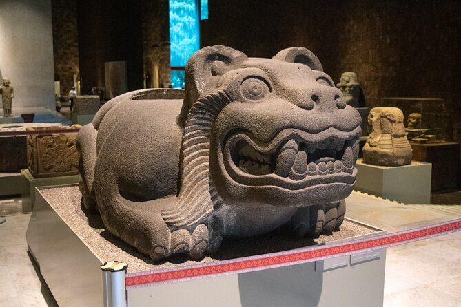 Immersive Experience at the Anthropology Museum - FAQ