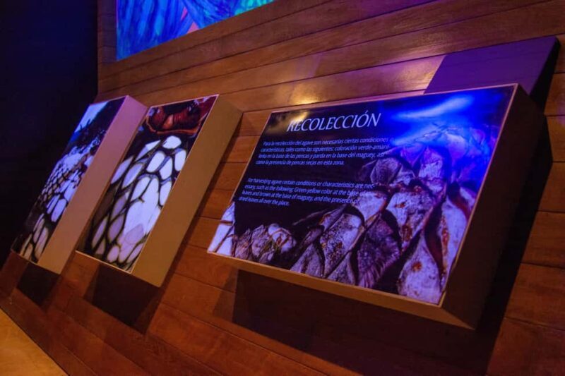 Immersive Experience & Tequila Tasting in Puerto Vallarta - An In-Depth Look at the Tour Experience