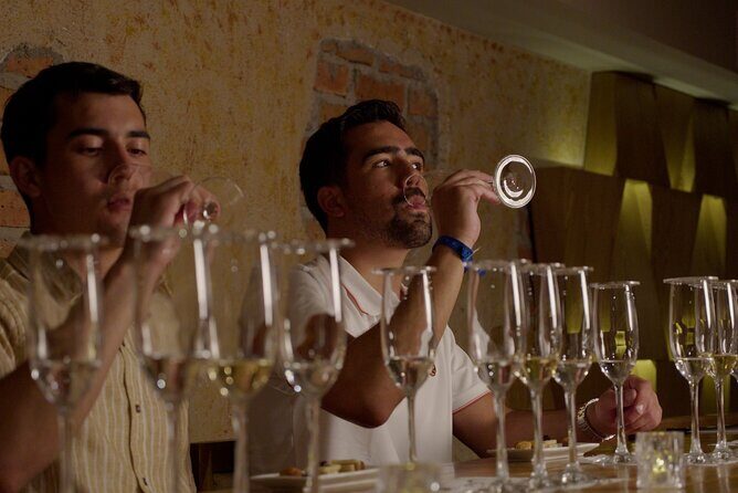 Immersive Experience & Tequila Tasting in Puerto Vallarta - Final Thoughts