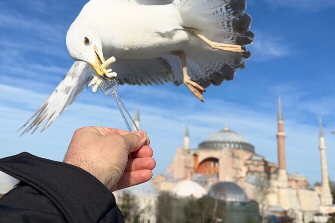 Imperial Traces of Istanbul  Private Guided Signature Tour - FAQs