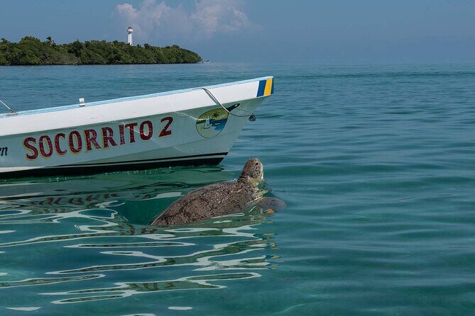 In Contact with Nature, Sian Ka'an Biosphere Boat Ride Tour - The Journey Begins Early in Playa del Carmen