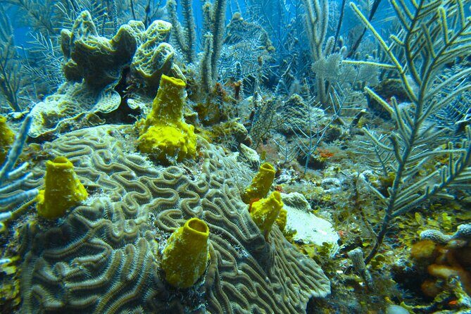 In Contact with Nature, Sian Ka'an Biosphere Boat Ride Tour - Exploring Sian Kan Biosphere