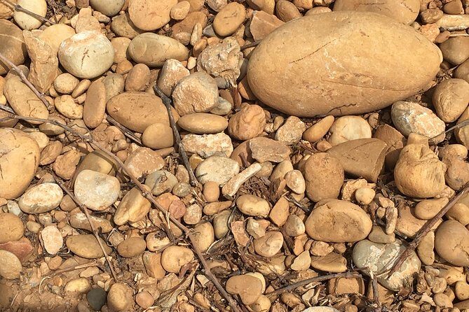 In Depth Chateauneuf du Pape - Exploring the Tour: What to Expect