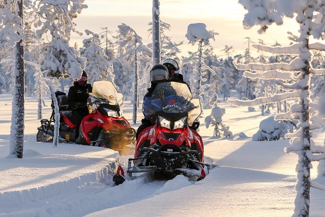 In Pursuit of Reindeer - Snowmobile safari to reindeer farm in Rovaniemi - Evaluating the Cost and Overall Value