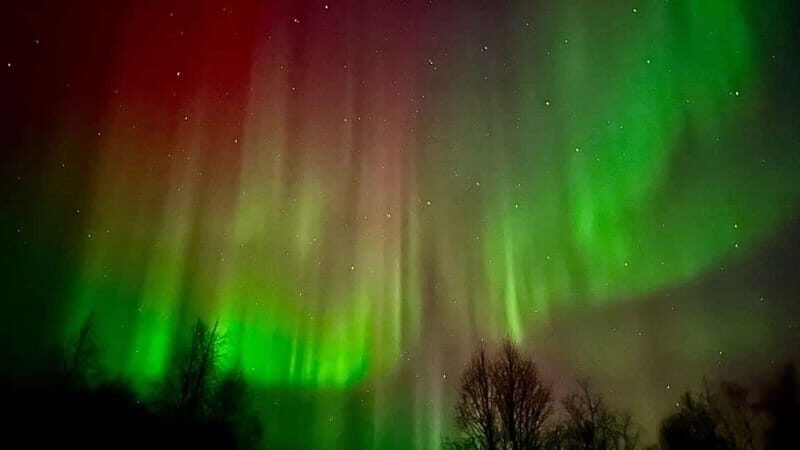 Inari/Ivalo: Aurora Hunting Tour by Car with Warm Drinks - The Sum Up