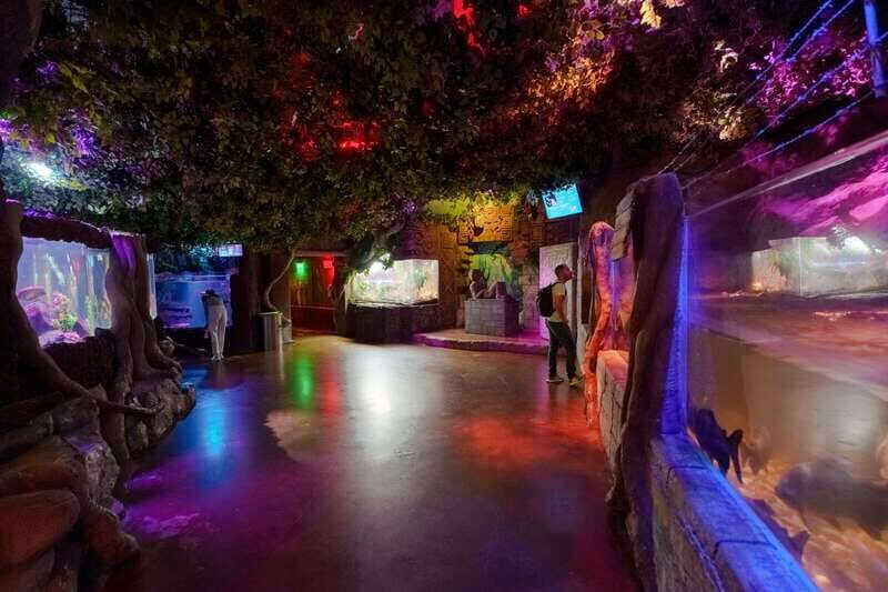 Inbursa Aquarium Entry Ticket with VR Option - Key Points