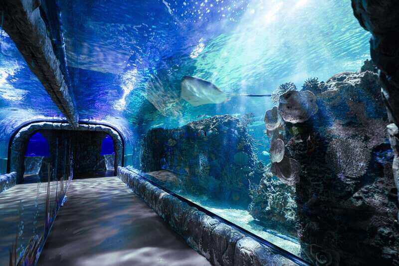Inbursa Aquarium Entry Ticket with VR Option - A Balanced Look at the Experience