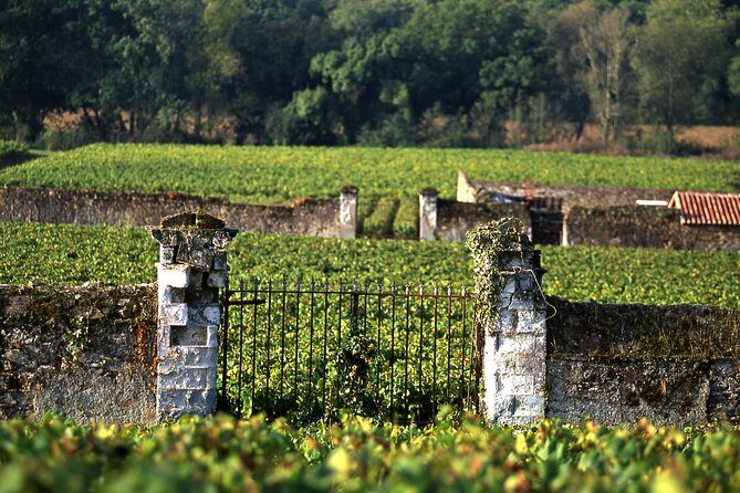 Incredible Loire castles tour with lunch and a vineyard visit - Final Thoughts