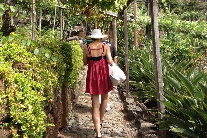 Incredible tour to a 'Faja' with a story - The Practical Details: What to Expect