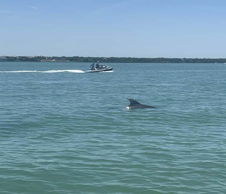 Indian Rocks Beach: Guided Jet Ski Adventure - Indian Rocks Beach: Guided Jet Ski Adventure – A Practical Dive into Florida’s Coastal Fun