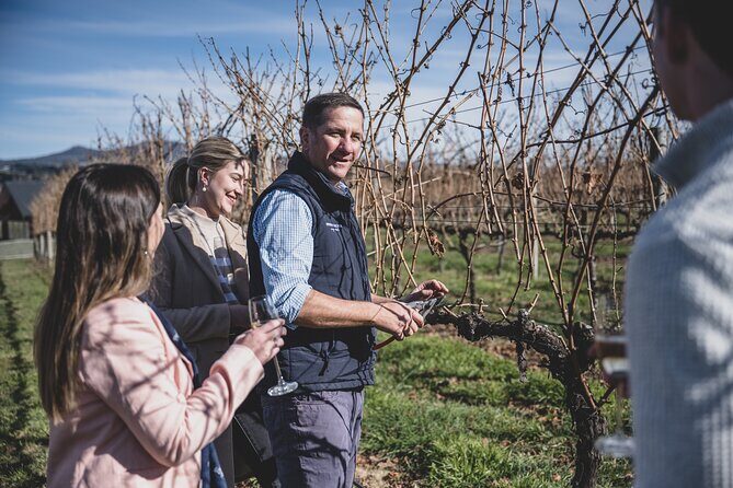 Indulge with Swinging Bridge - Price Analysis: Is It Good Value?