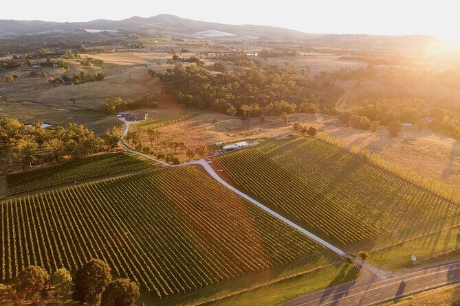 Indulge with Swinging Bridge - The Sum Up