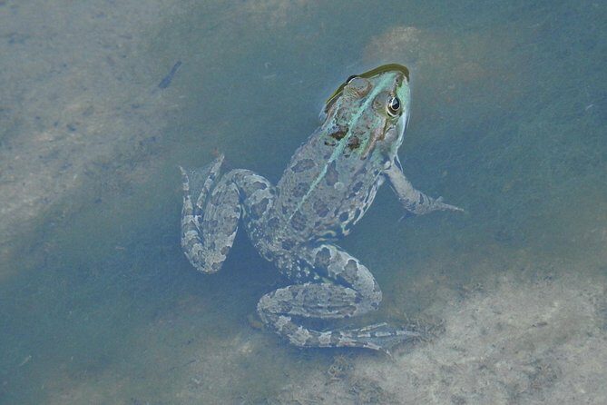 Inflatable boat excursion Gole di Tiberio on the Madonie near Cefalù - The Review Perspective