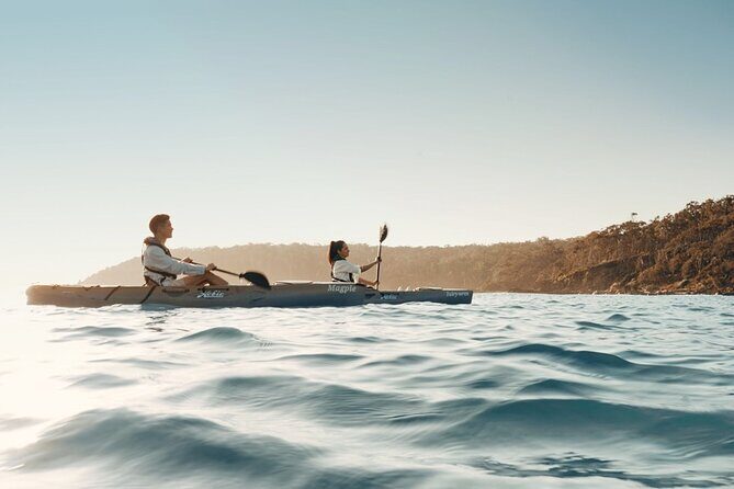 Informative Oyster Activity: Handling, Shucking & Storing + Kayaking - Authentic Experiences and the Value You Get
