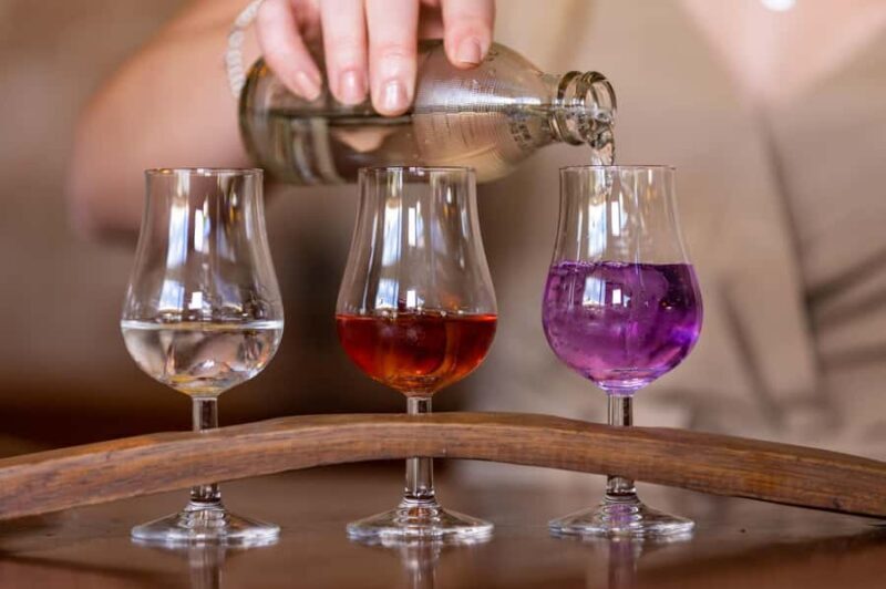 Ink Gin Experience at Husk Farm Distillery - Key Points