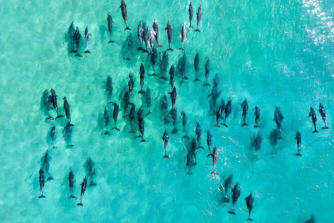 Inner Reef Explorer - 30 minute Reef Scenic Flight - Key Points