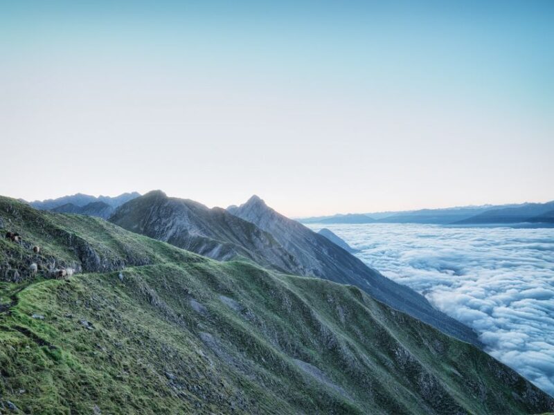 Innsbruck: Alpenzoo & Top of Innsbruck Combination Ticket - The Experience from Visitors Perspectives