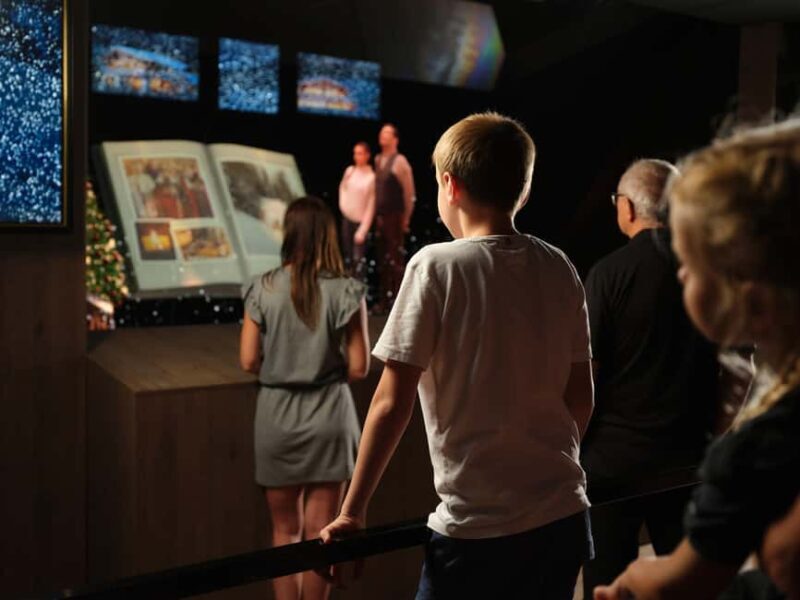 Innsbruck: EXPERIENCE TIROL - Immersive Show Ticket - The Sum Up