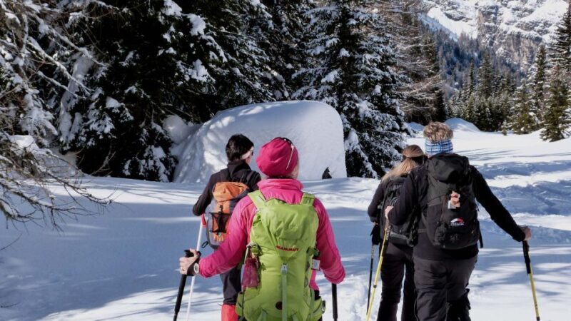 Innsbruck: Priv. Guided Snowy Mountain Hike /Snowshoe´s - What Makes This Tour Stand Out?