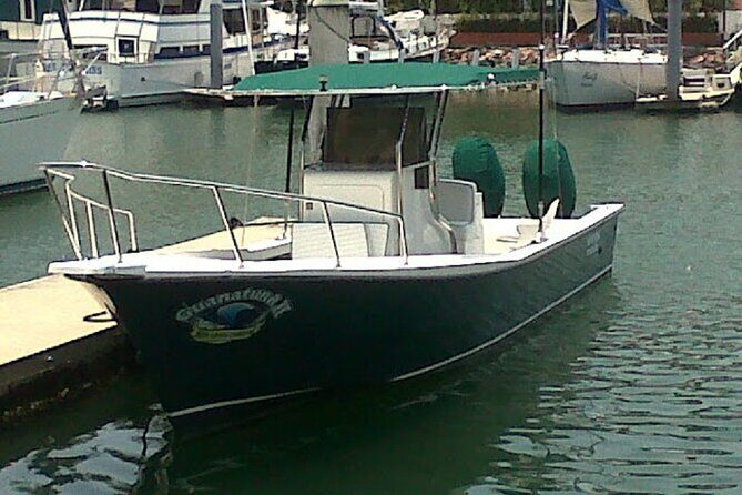 Inshore Fishing 4-Hour Puerto Vallarta Charter - Practical Details for Your Trip