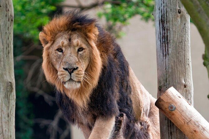Inside Alcatraz: The Bay Your Way - Final Thoughts