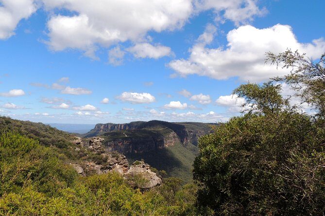 Inside the Greater Blue Mountains World Heritage - A Wildlife Safari Overnight - A Full-Bodied Look at the Tour Experience