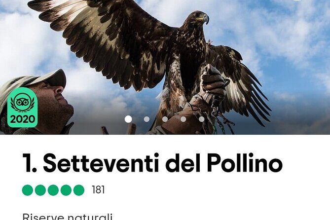 Interactive Educational Course on Birds of Prey - Final Thoughts