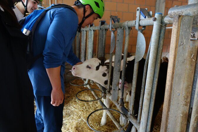 Interlaken 3-Hour Guided E-Bike Tour with a Farm and Ancient Villages Visit - The Sum Up