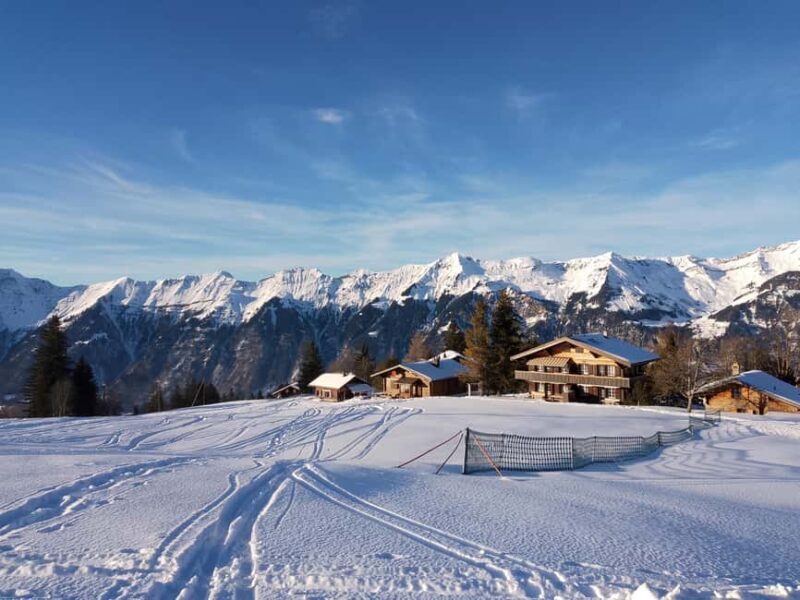 Interlaken: All-inclusive Half-day Ski Taster for beginners - Experience Quality and Group Dynamics