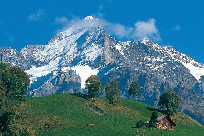 Interlaken and Grindelwald Day Trip from Lucerne - The Itinerary in Detail