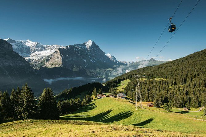 Interlaken and Grindelwald Day Trip from Lucerne - What the Reviews Tell Us