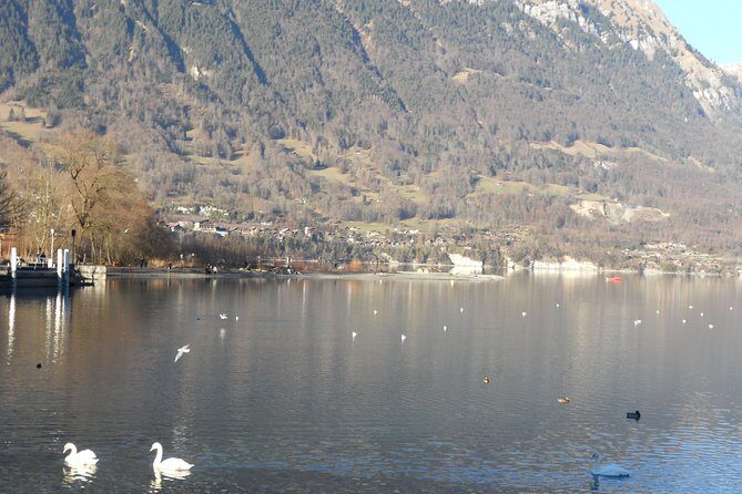 Interlaken Private Tour: Mountains Cows, Thun Lake, and Brienz Lake - What Travelers Can Expect