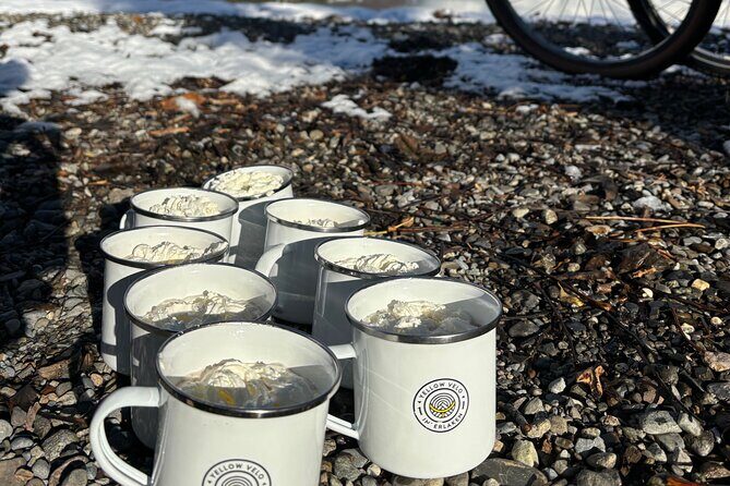 Interlaken Valley Winter E-Bike Tour: Rivers, Lakes & Castles - Real Experiences: What Travelers Are Saying