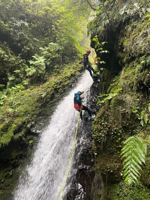 Intermediate Canyoning Madeira - What to Expect from the Tour