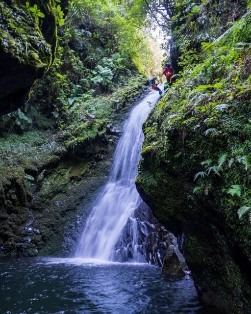 Intermediate Canyoning Madeira - Authentic Insights from Reviewers