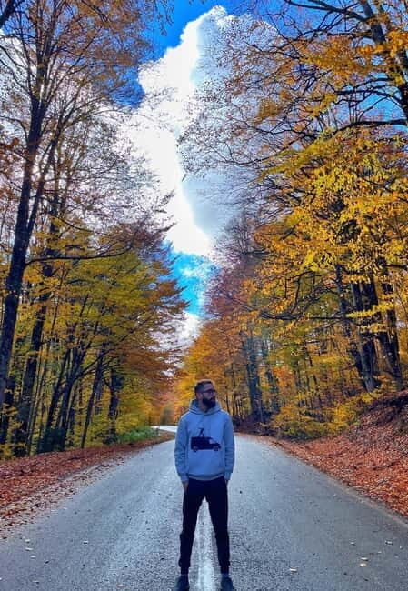 Into the wild - FAQs