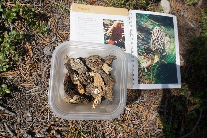 Intro Survival Course Rockies - FAQ