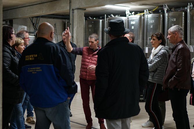 Introduction to Alsace wines - Visiting Domaine François Schwach