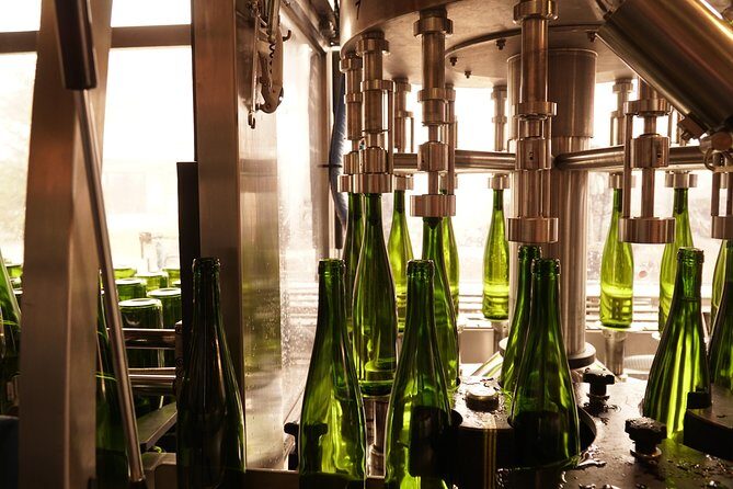 Introduction to Alsace wines - The Guided Tour and Cellar Visit