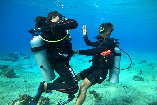 Introductory Diving Class in the Cozumel Reefs - Why You’ll Love This Experience