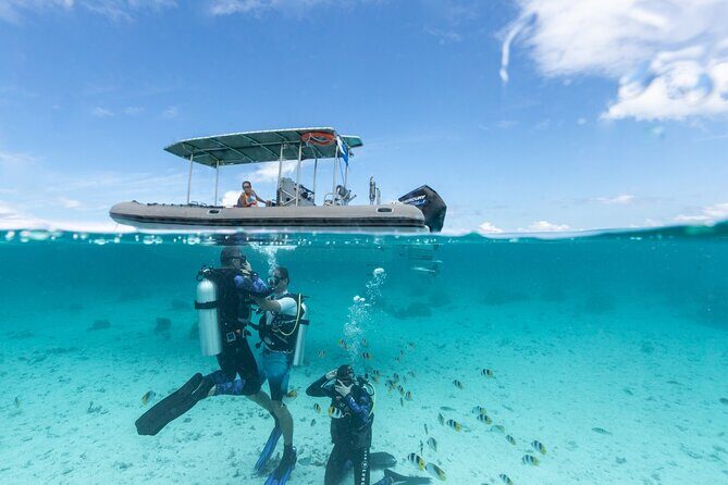 Introductory Scuba Diving Experience in Bora Bora - Key Points