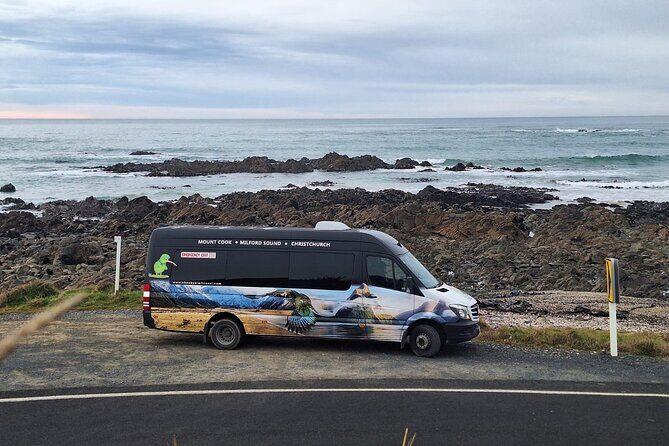 Invercargill to Dunedin via the Catlins Small Group 1 Way Tour - Insights from Reviewers: What Elevates This Tour