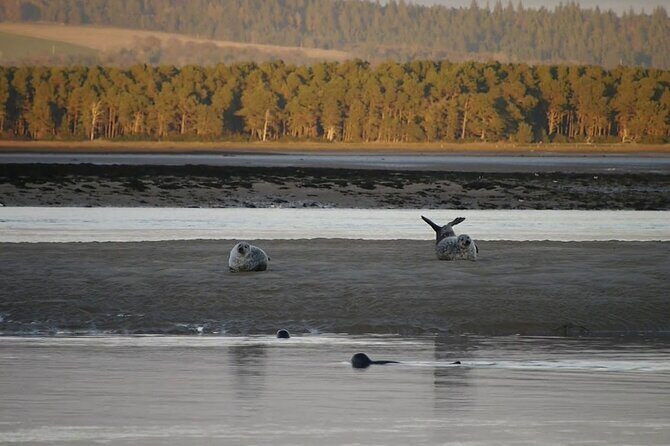 Invergordon cruise excursion Small Group Dunrobin Castle & More - Frequently Asked Questions (FAQs)