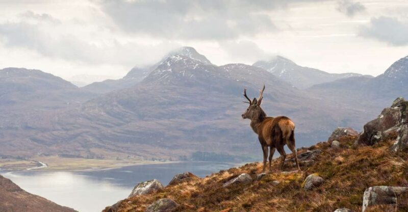 Inverness: Applecross, Loch Carron & Wild Highlands Day Tour - Key Points